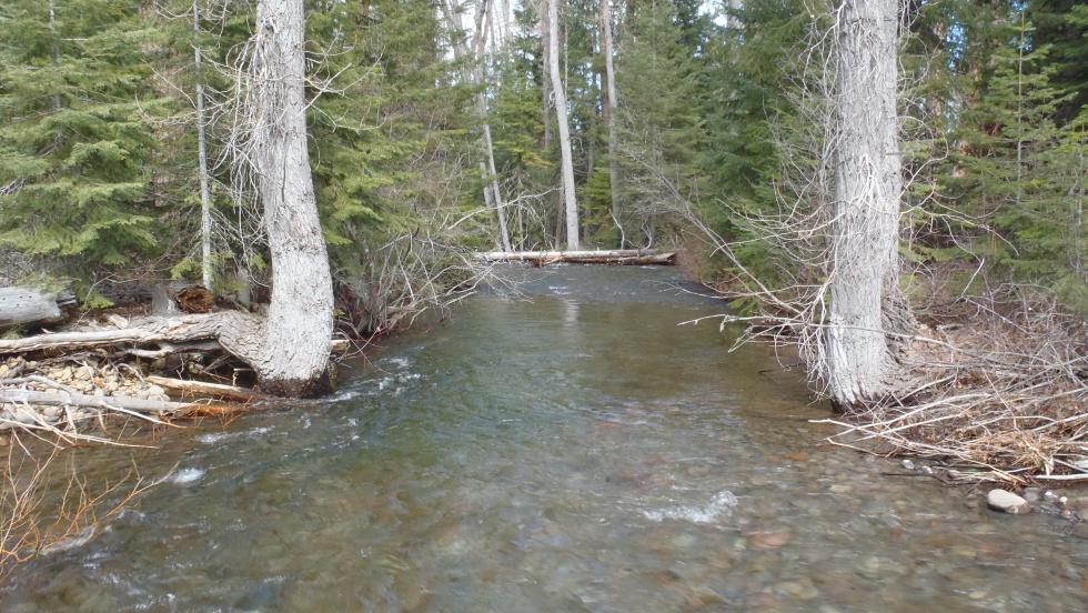 Pelican Butte-Sky Lakes Area – Oregon Conservation Strategy