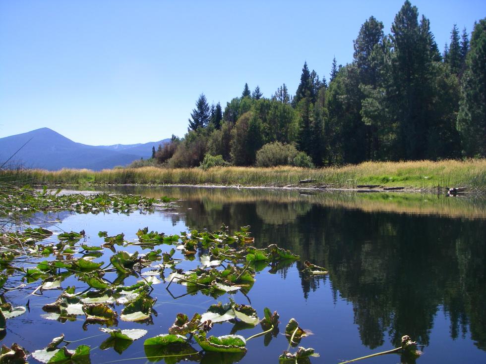 East Cascades – Oregon Conservation Strategy