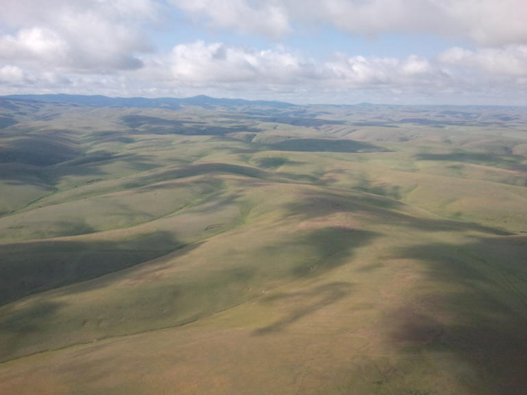 Western Painted Turtle – Oregon Conservation Strategy